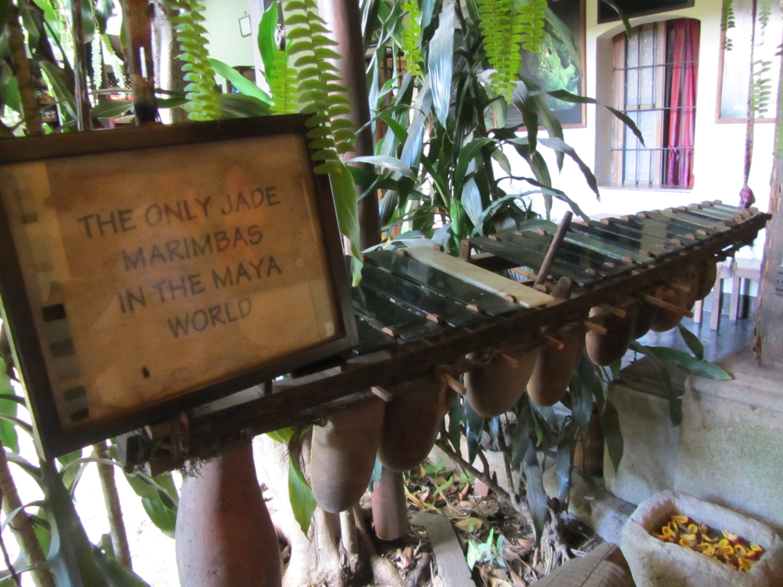 Puerto Quetzal, Guatemala – Crunchii's Cruise Blog